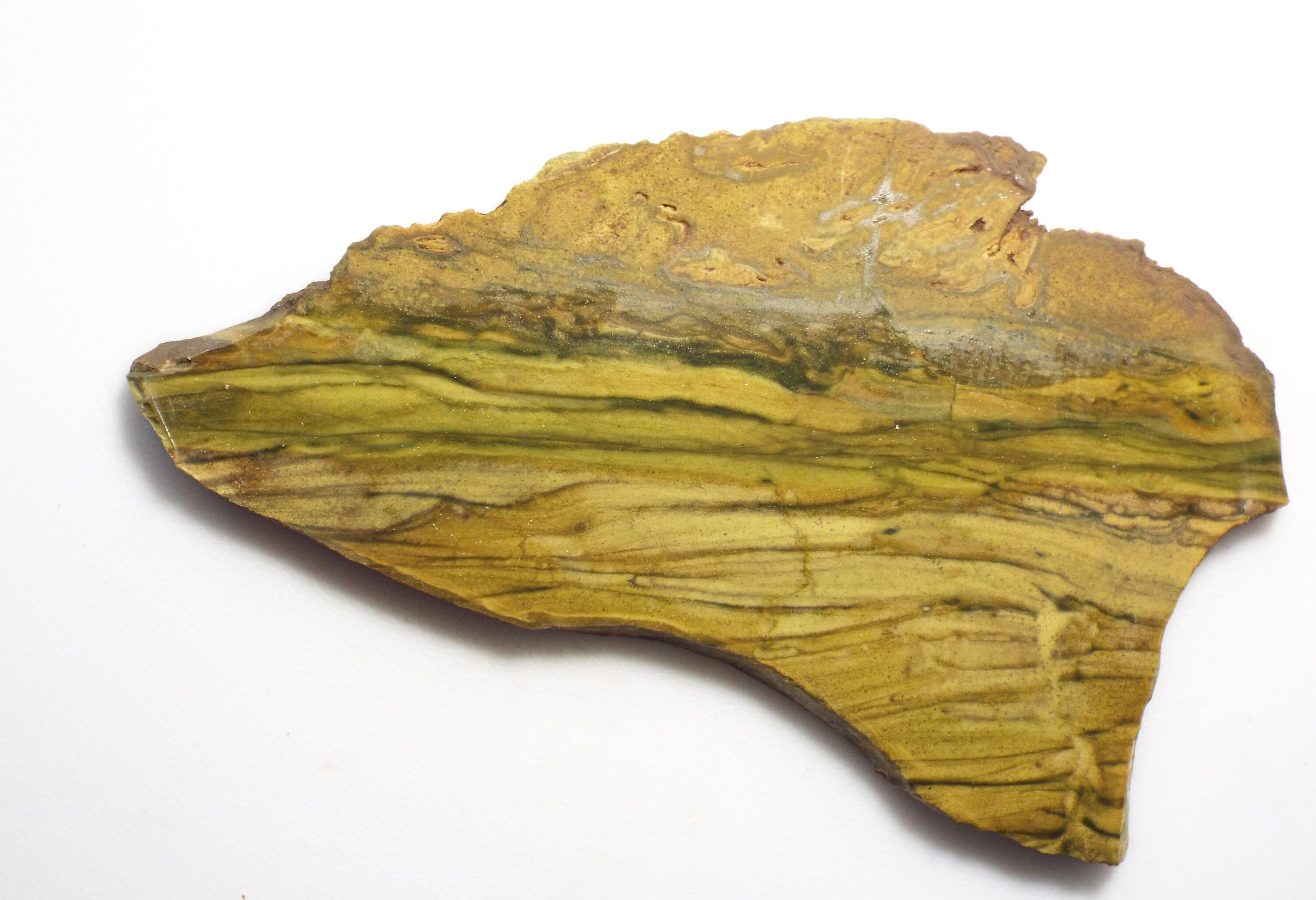 Lizard Skin Lizard Stone Jasper Slab From Arizona for - Etsy