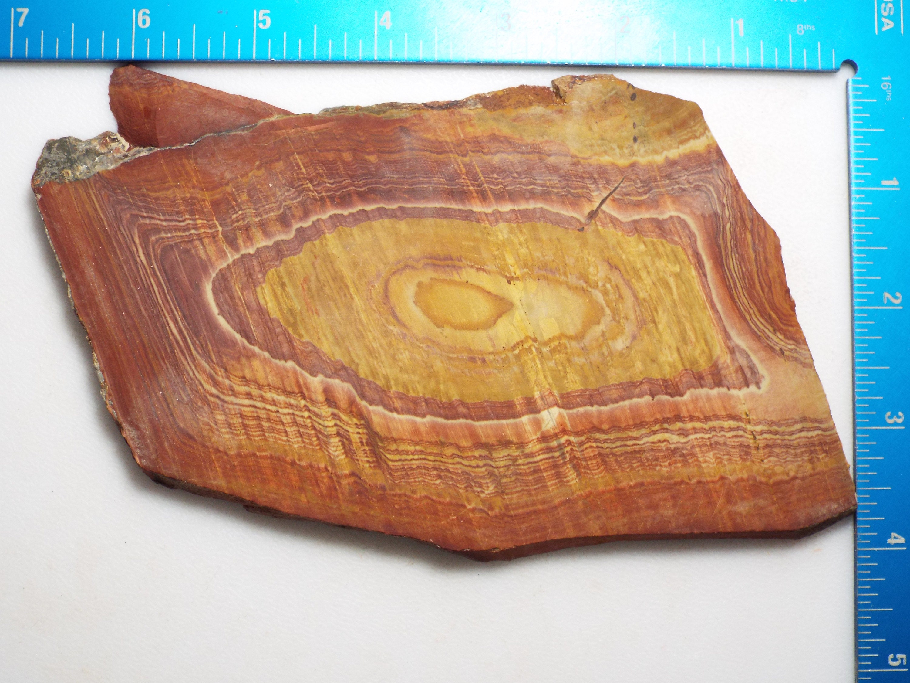 Royal Jasper From Nevada Picture Jasper Slab for Lapidary - Etsy