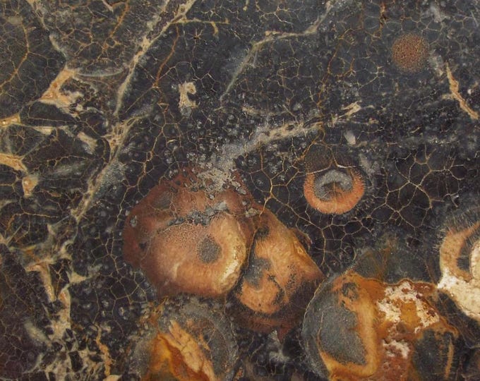 Galaxy Rhyolite Rough Lapidary Slab for Cabbing, Display, Lapidary - Etsy