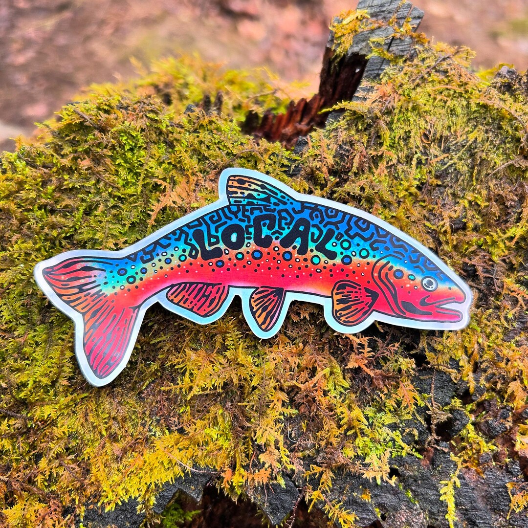 BROOK TROUT STICKER / Brookie Sticker/ Local Trout Sticker / Fly ...
