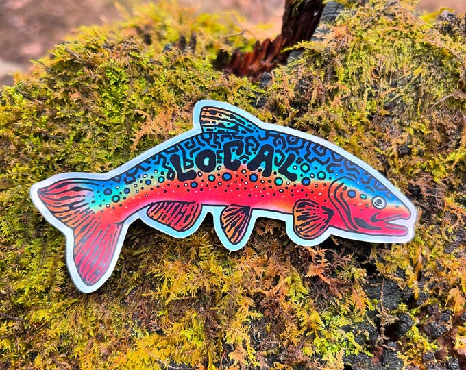 BROOK TROUT STICKER / Brookie Sticker/ Local Trout Sticker / Fly ...