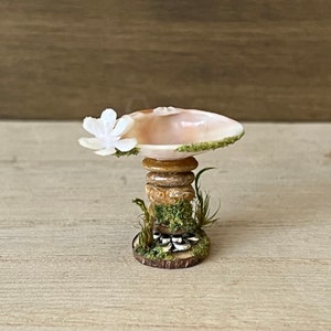 Fairy Garden House Seashell Bird Bath - Etsy