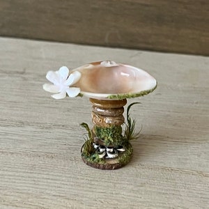Fairy Garden House Seashell Bird Bath - Etsy