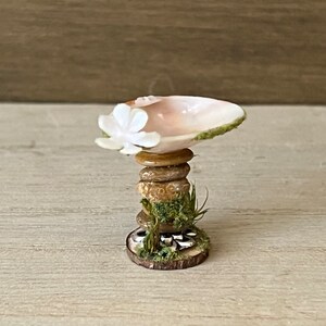 Fairy Garden House Seashell Bird Bath - Etsy