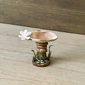 Fairy Garden House Seashell Bird Bath - Etsy