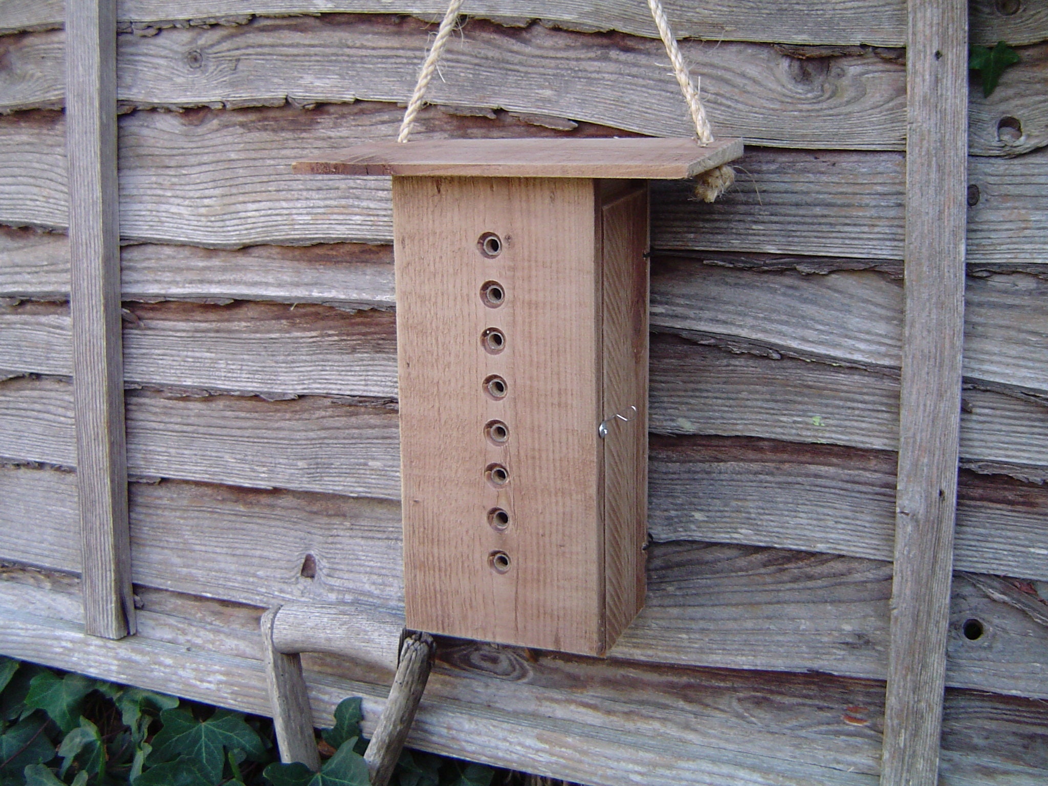 Beebug House With Clear Tubes you Can See How the Bees - Etsy UK