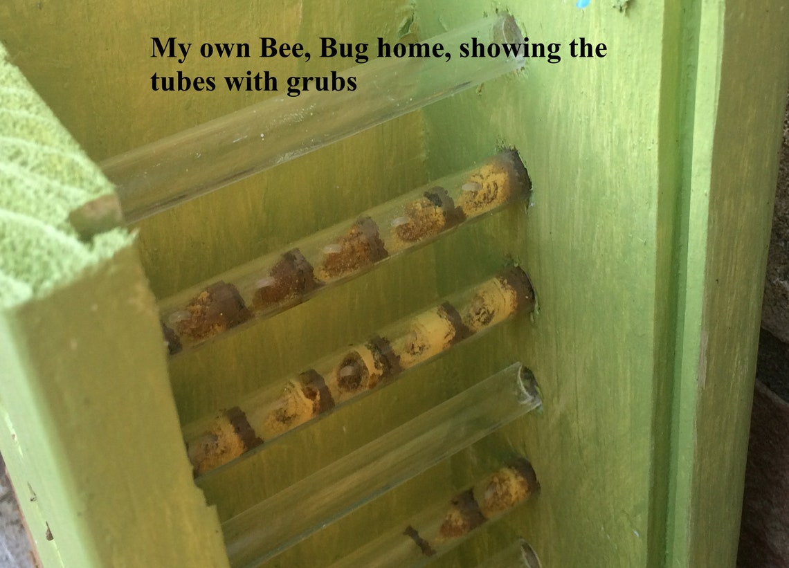 Beebug House With Clear Tubes you Can See How the Bees - Etsy UK