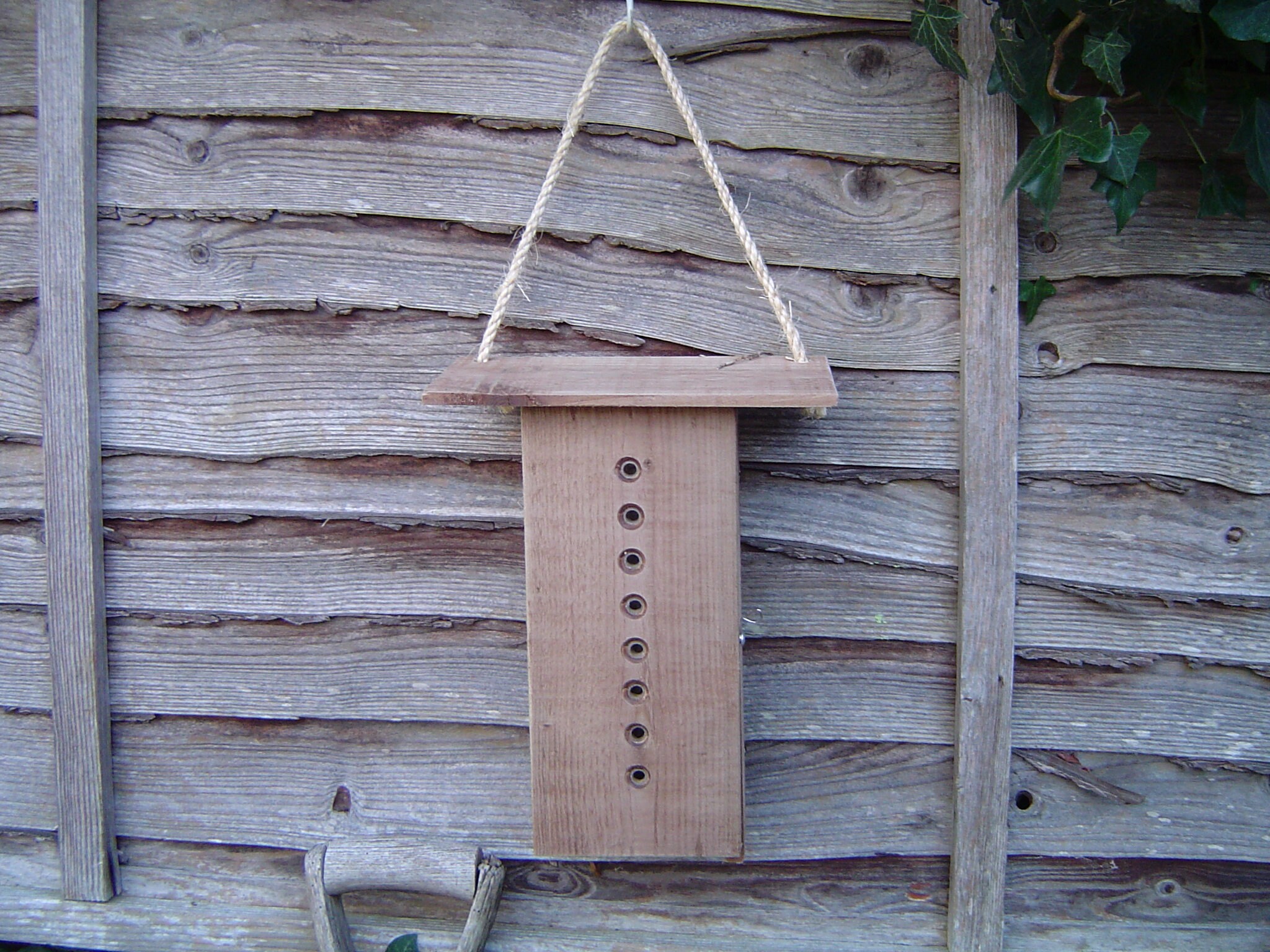 Beebug House With Clear Tubes you Can See How the Bees - Etsy UK