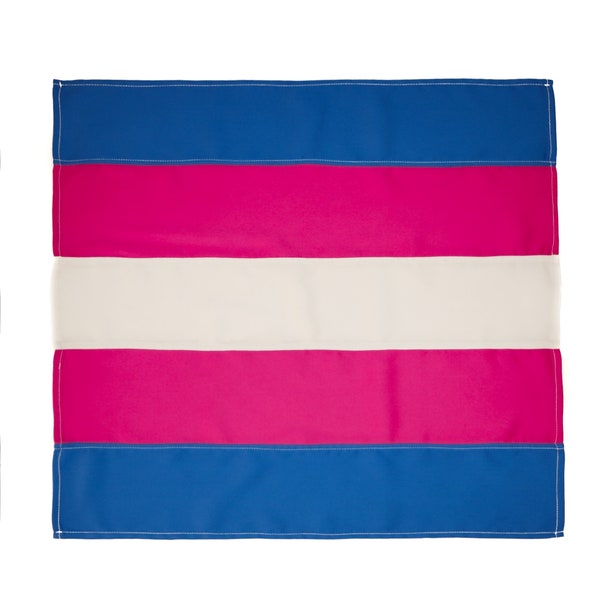 Trans Bandana Flag - Etsy