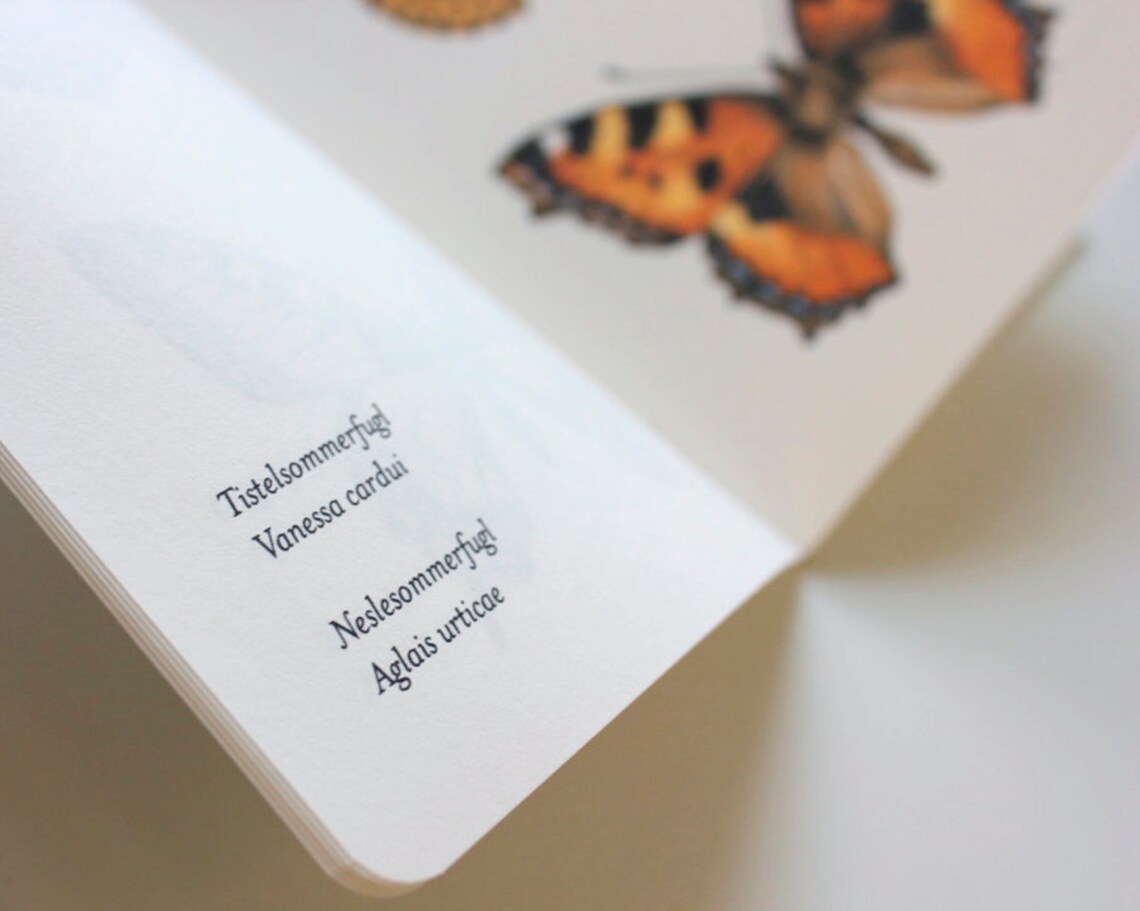 Butterfly fanzine // handmade books // artist book // | Etsy