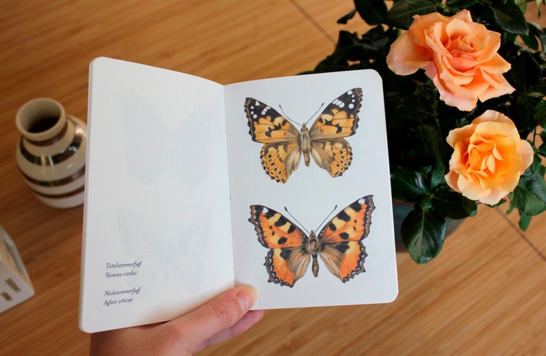 Butterfly Fanzine // Handmade Books // Artist Book // - Etsy