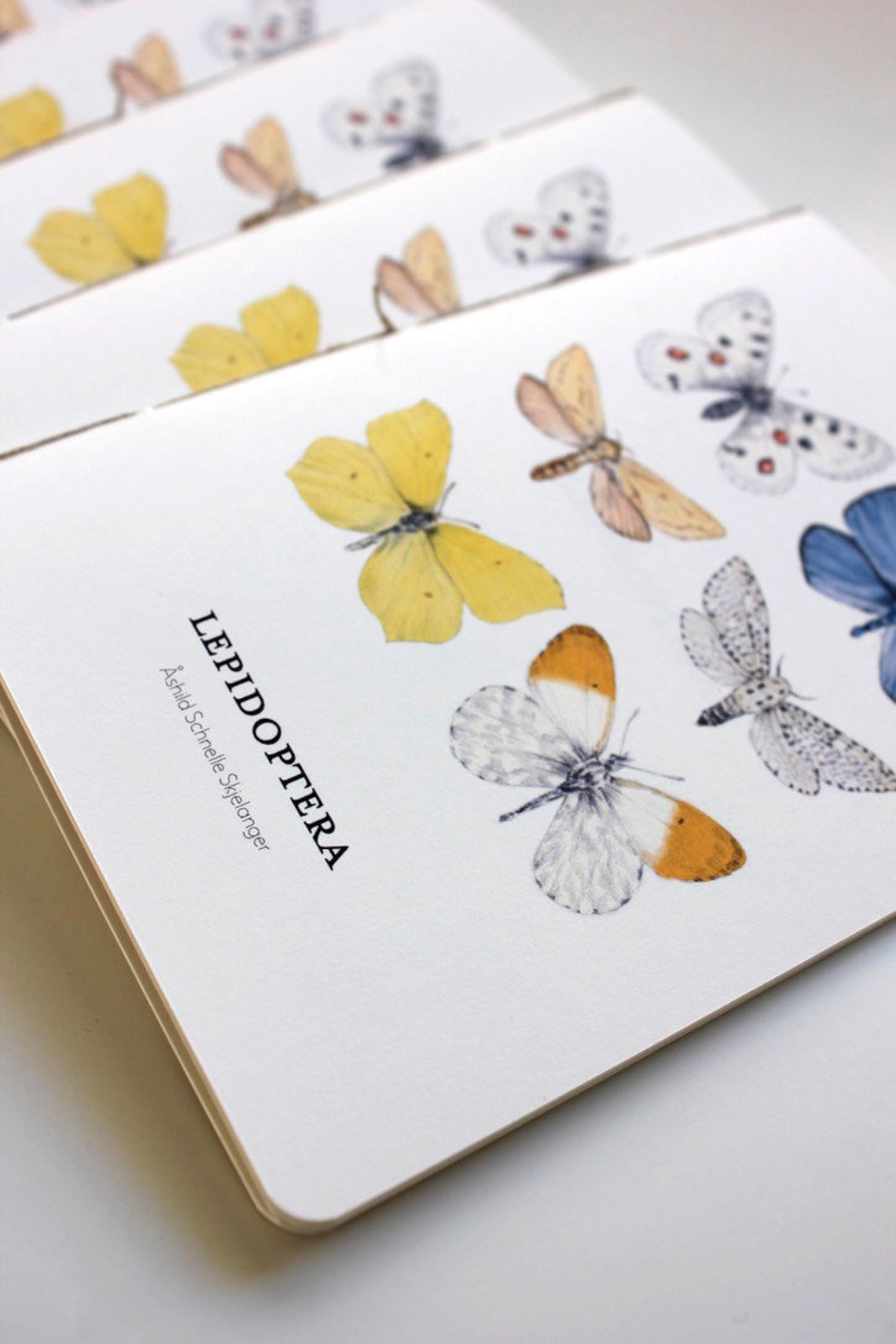Butterfly fanzine // handmade books // artist book // | Etsy