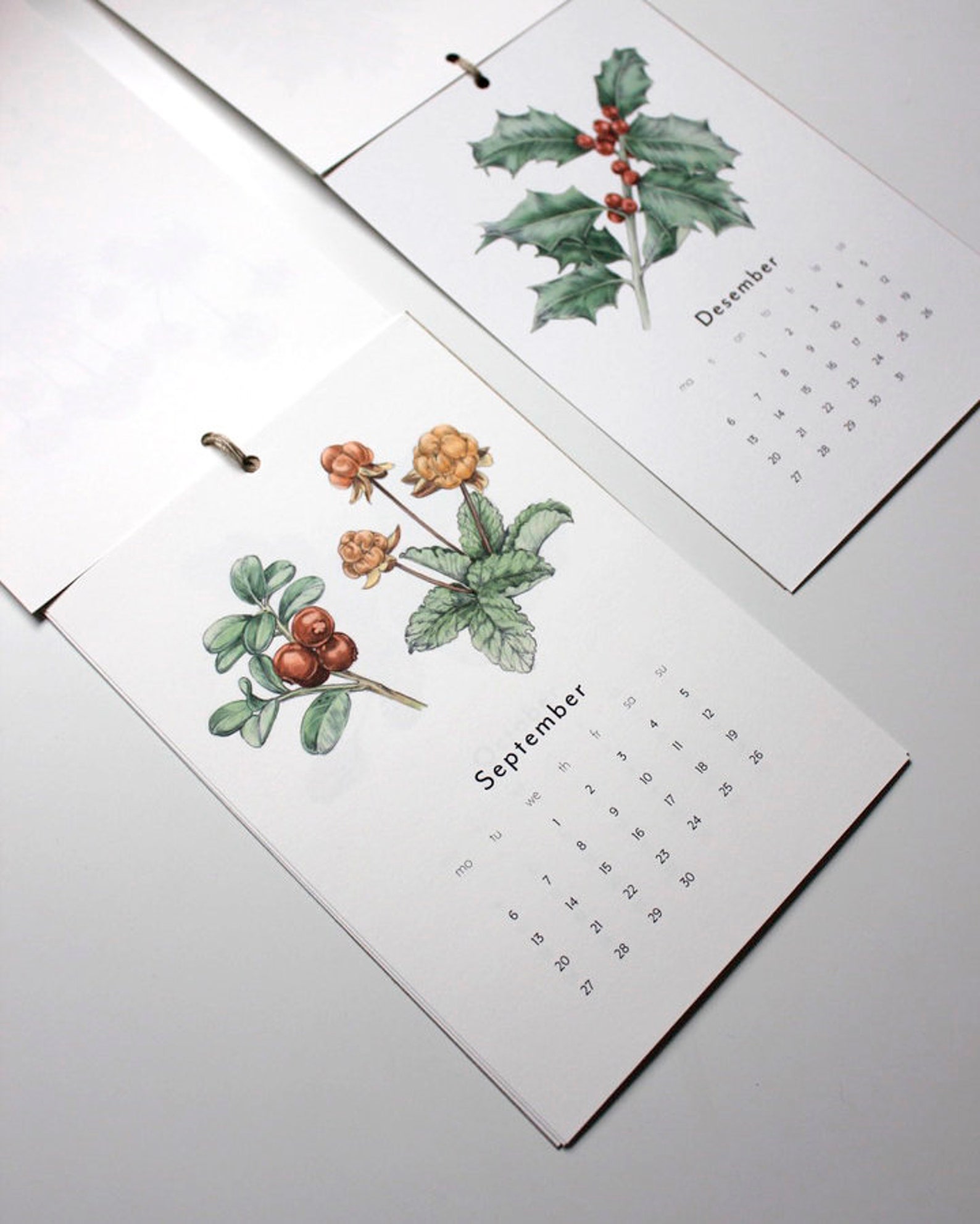 2021 Calendar // wall calendar // botanical calendar // | Etsy
