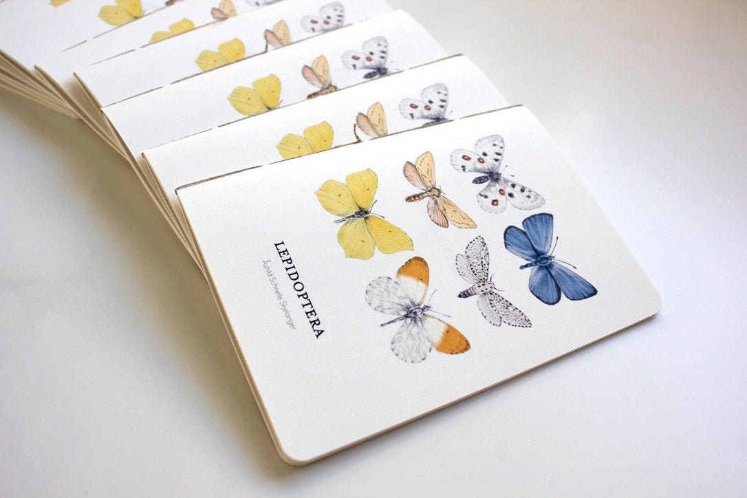 Butterfly Fanzine // Handmade Books // Artist Book // - Etsy