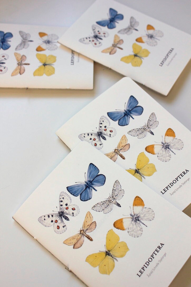 Butterfly Fanzine // Handmade Books // Artist Book // - Etsy