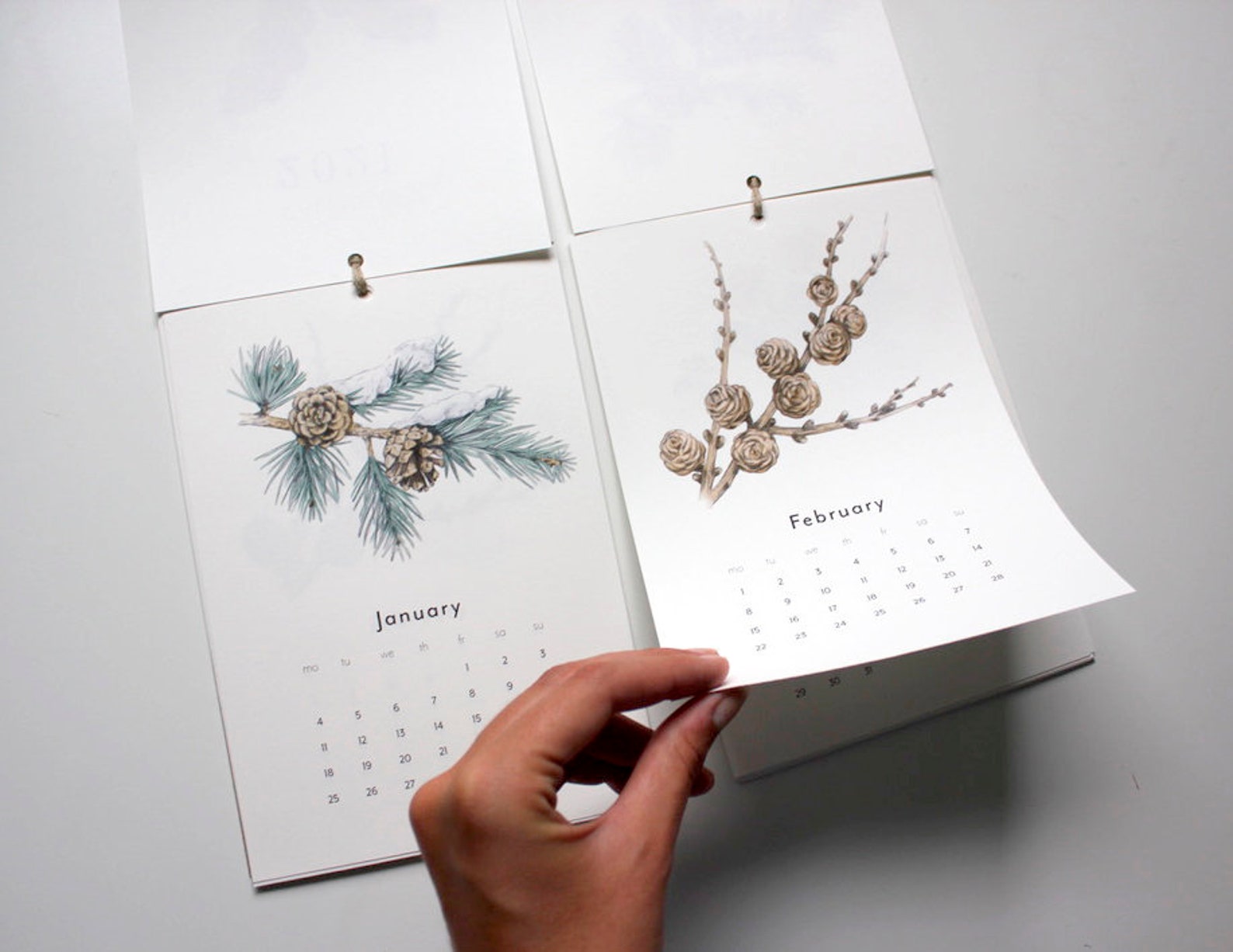 2021 Calendar // wall calendar // botanical calendar // | Etsy