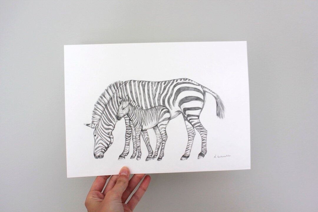 Zebra Drawing // Original Drawing // Original Art // Pencil Drawing ...