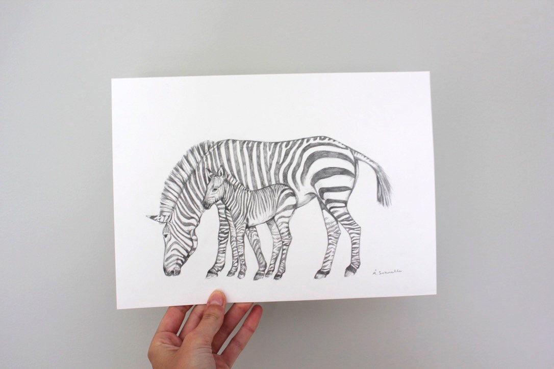 Zebra Drawing // Original Drawing // Original Art // Pencil Drawing ...