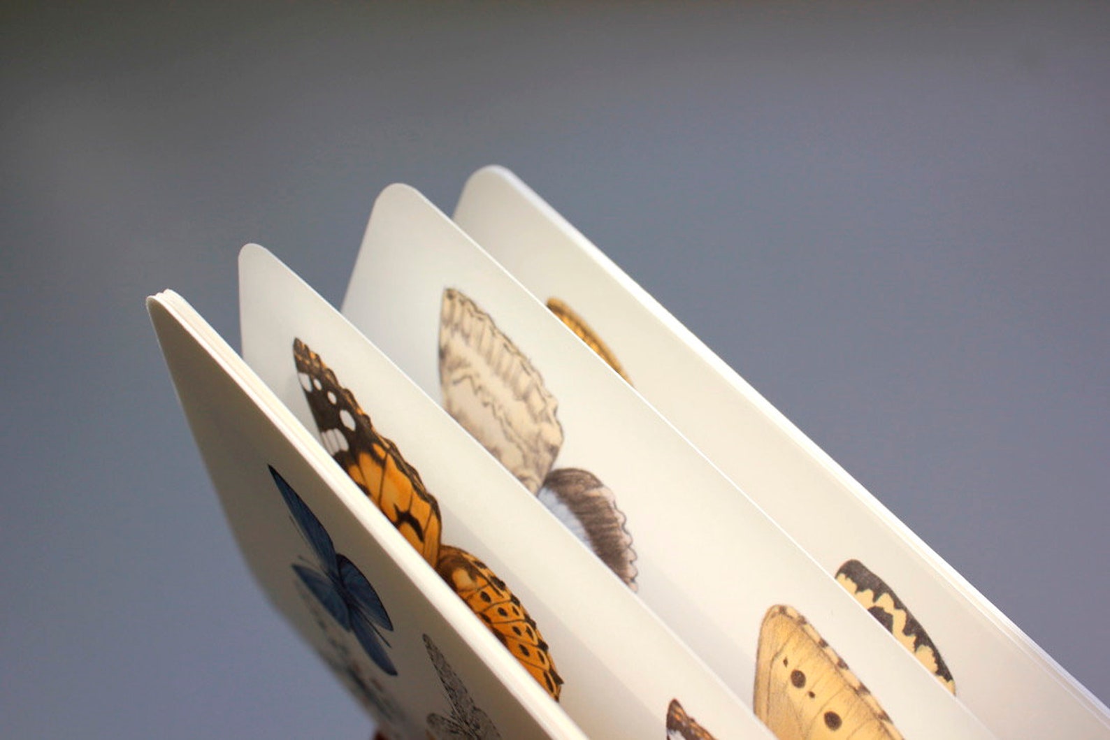 Butterfly Fanzine // Handmade Books // Artist Book // - Etsy