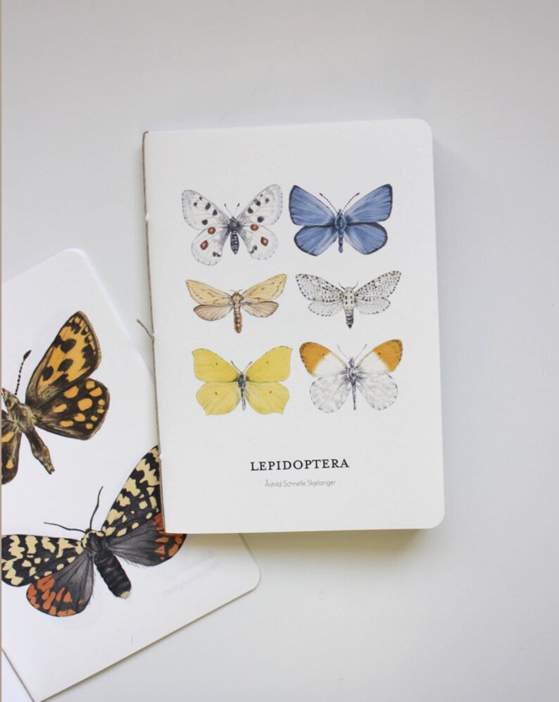 Butterfly Fanzine // Handmade Books // Artist Book // - Etsy