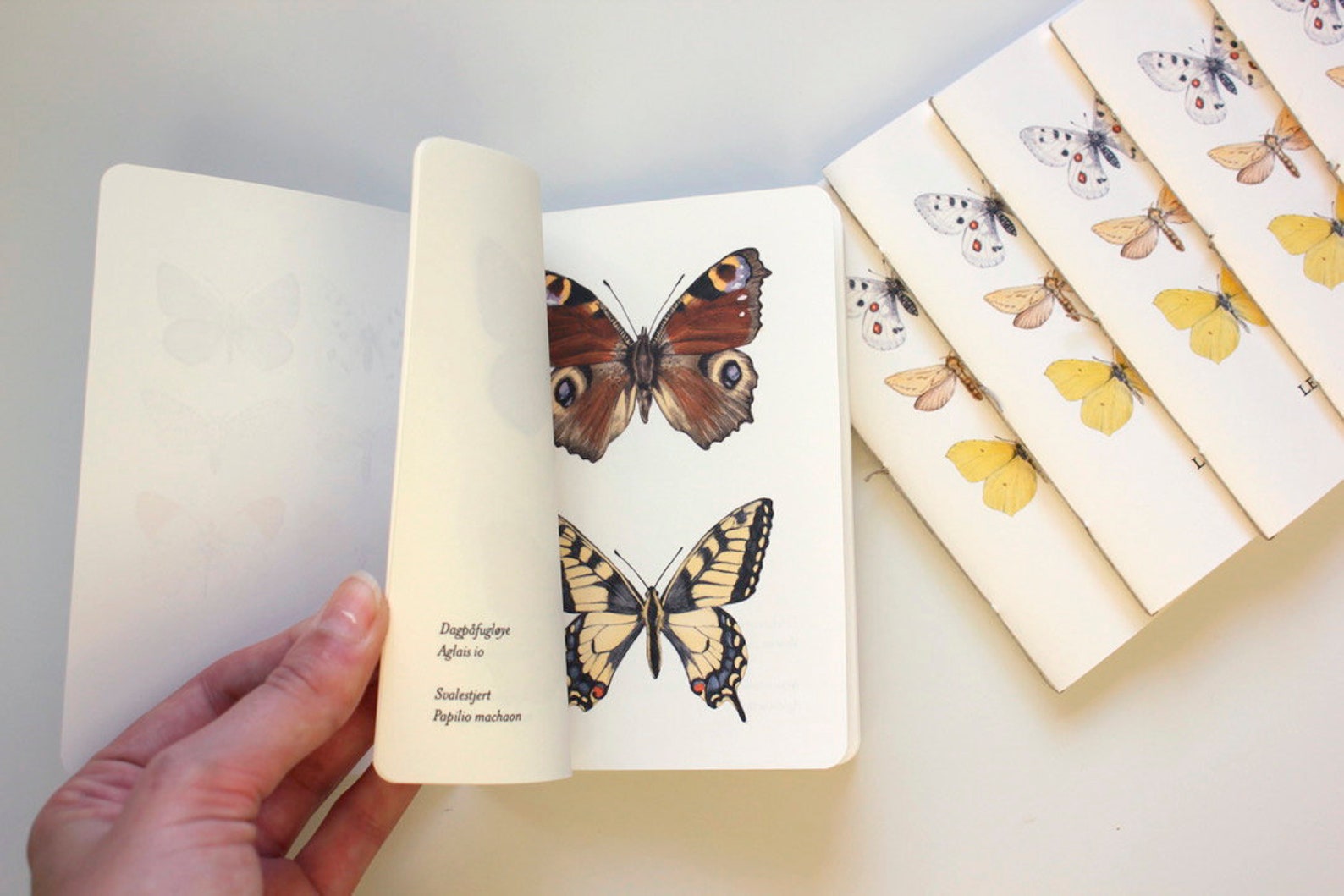 Butterfly Fanzine // Handmade Books // Artist Book // - Etsy