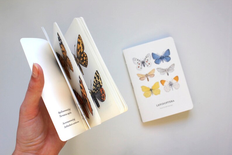 Butterfly Fanzine // Handmade Books // Artist Book // - Etsy