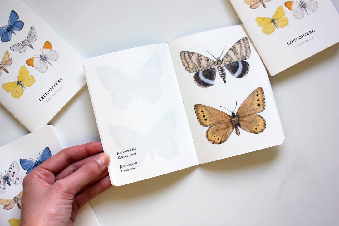 Butterfly Fanzine // Handmade Books // Artist Book // - Etsy