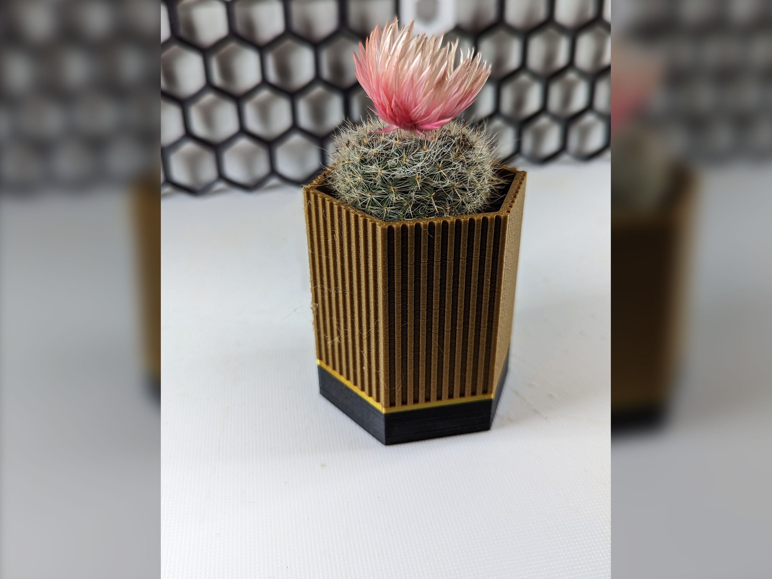 Hexagonal Succulent Indoor Plant Pot Set of 3 - Etsy