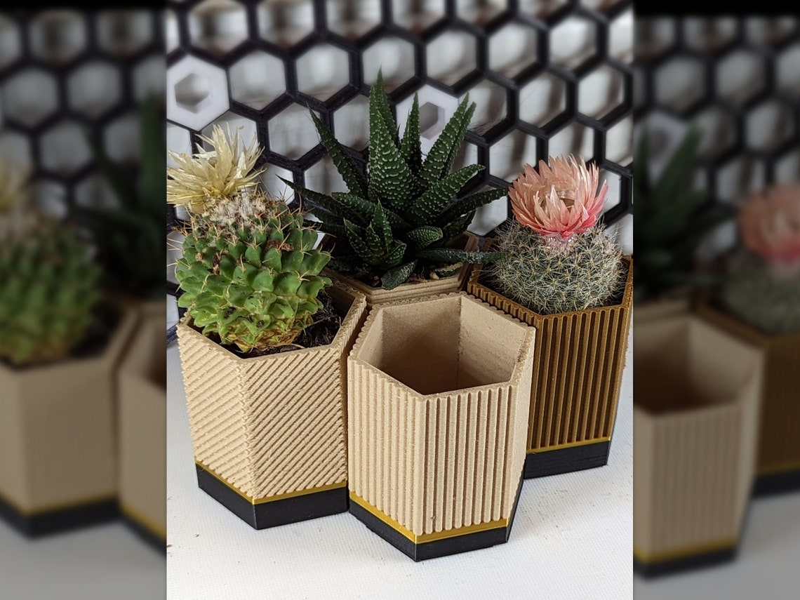 Hexagonal Succulent Indoor Plant Pot Set of 3 - Etsy