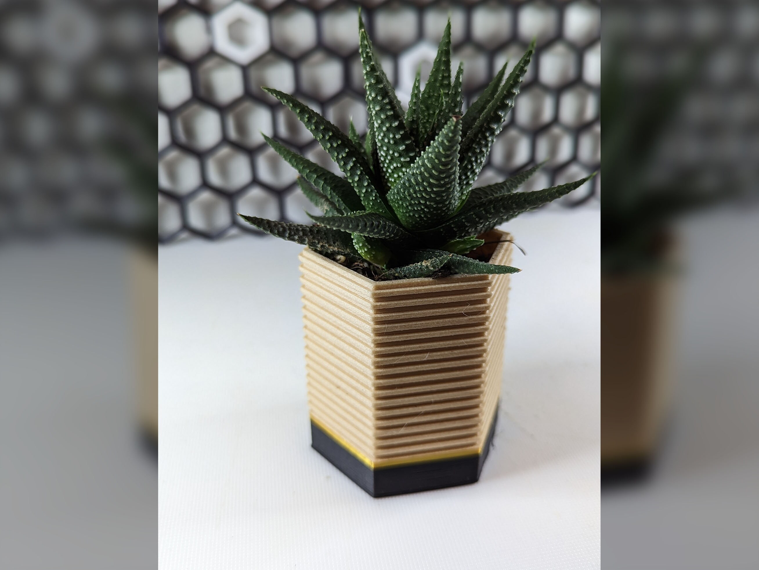 Hexagonal Succulent Indoor Plant Pot Set of 3 - Etsy