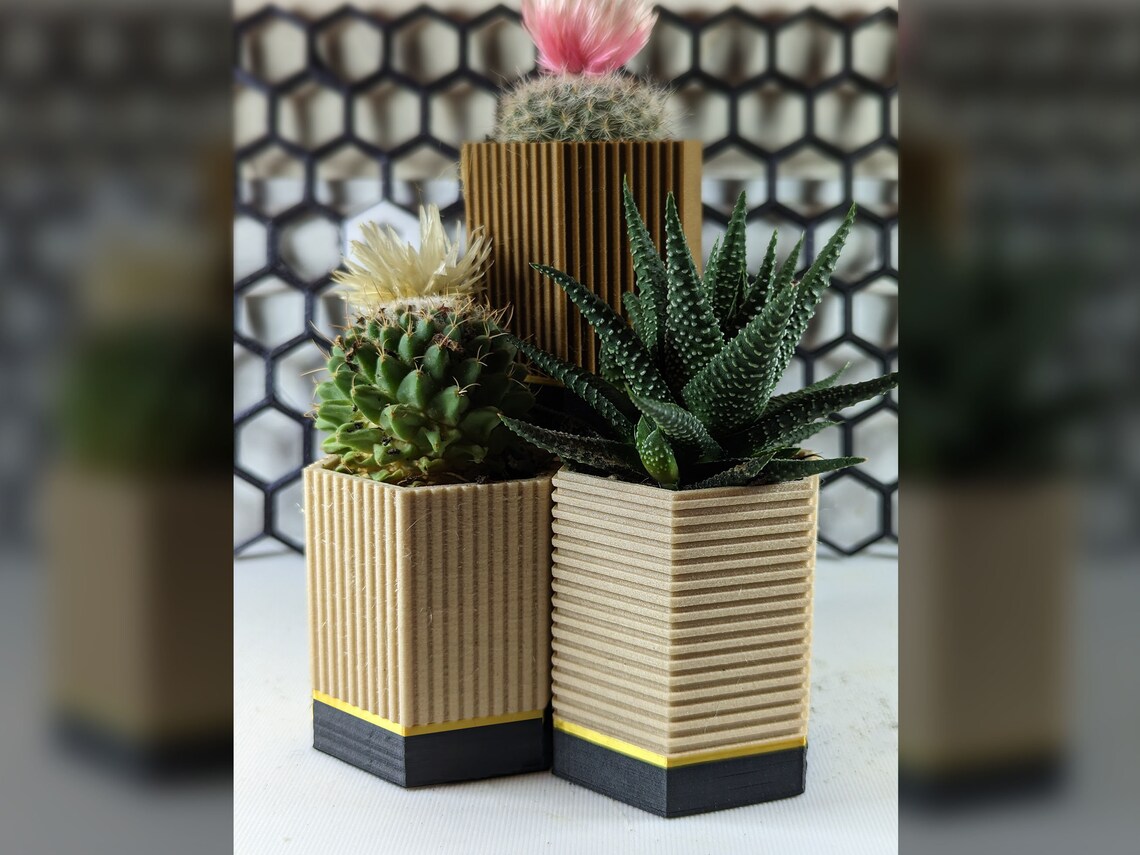 Hexagonal Succulent Indoor Plant Pot Set of 3 - Etsy