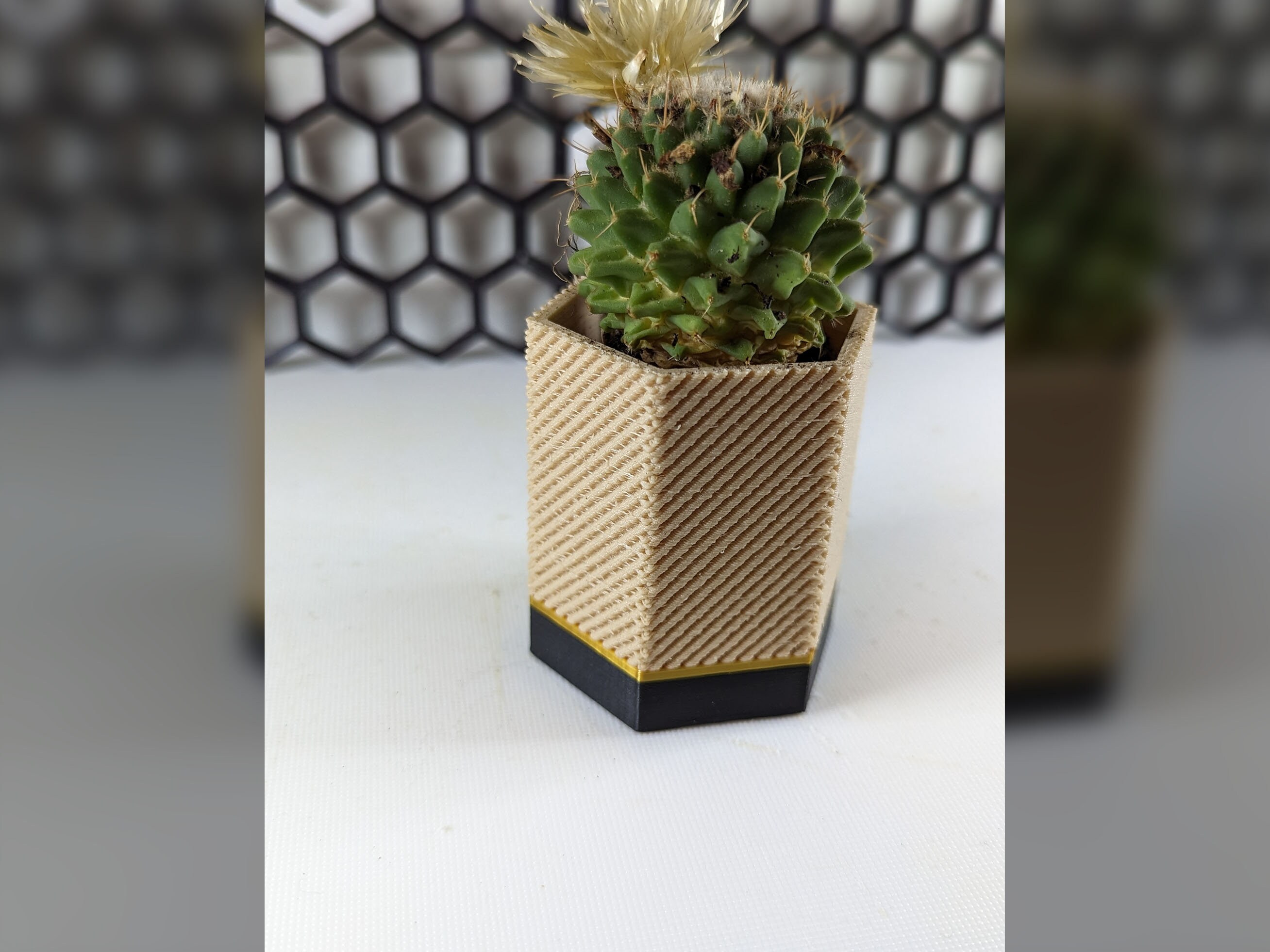 Hexagonal Succulent Indoor Plant Pot Set of 3 - Etsy