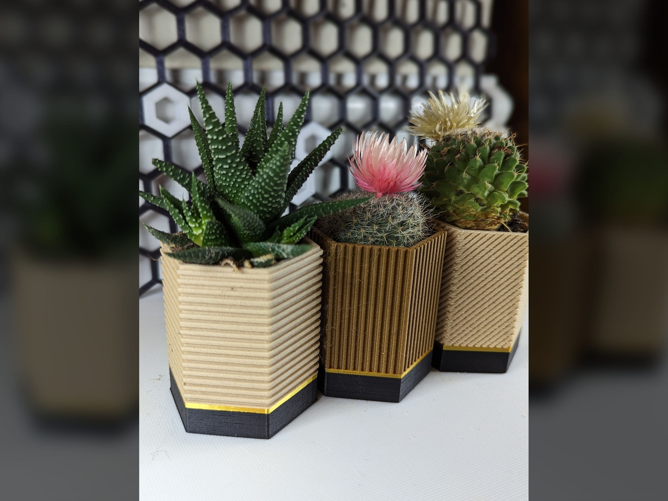Hexagonal Succulent Indoor Plant Pot Set of 3 - Etsy