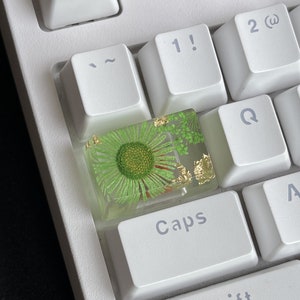 Esc Keycap, Shift Keycap, Enter Keycap, Spacebar Keycap, Caps Lock ...