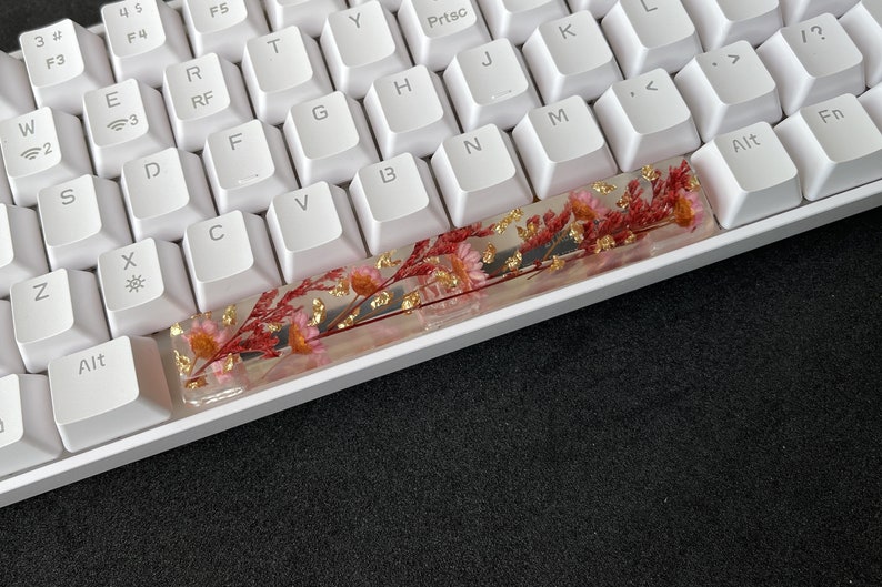 Pink Keycaps Spacebar Keycap Custom Keycaps Backlit - Etsy