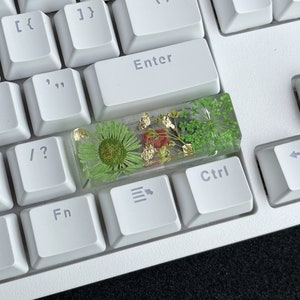 Esc Keycap, Shift Keycap, Enter Keycap, Spacebar Keycap, Caps Lock ...