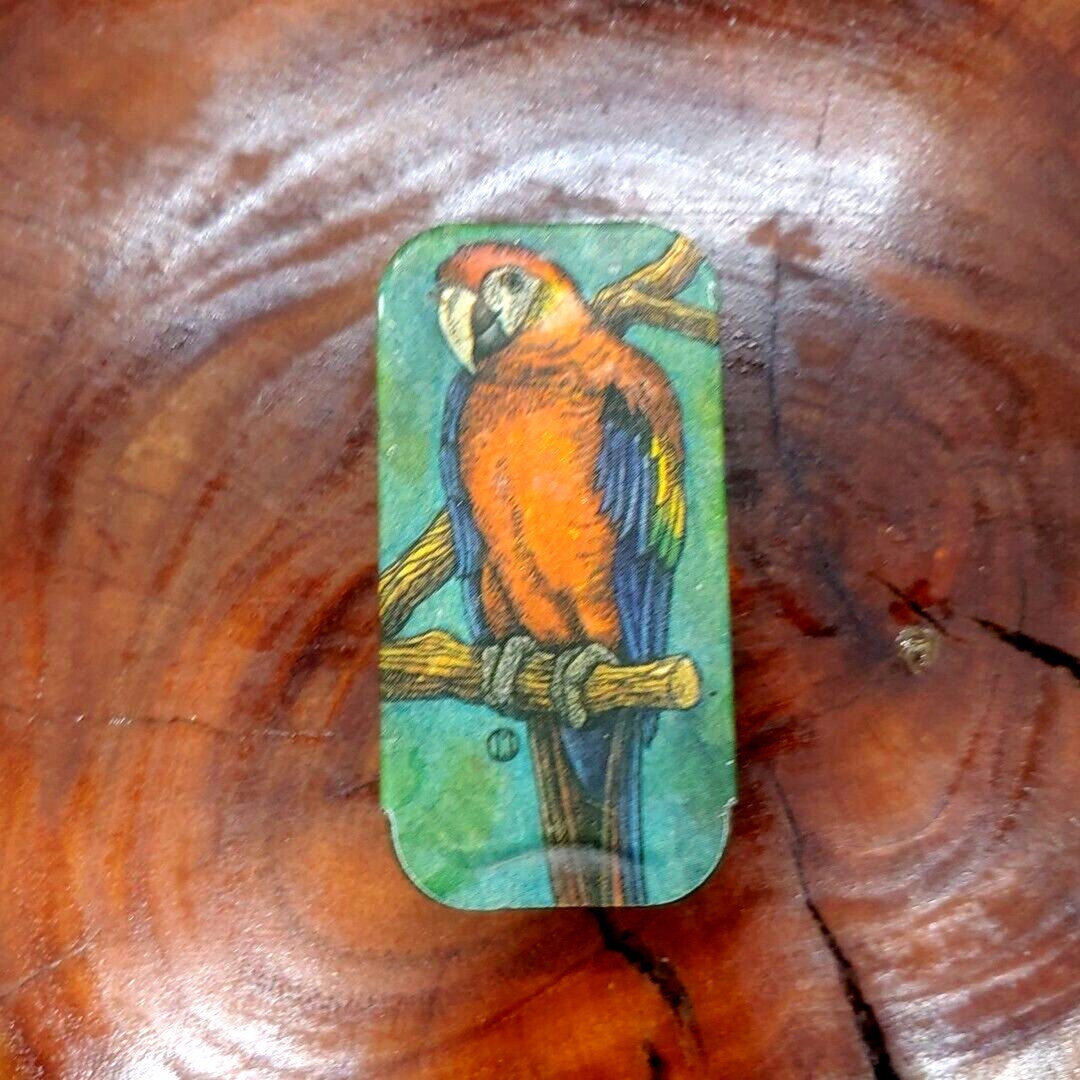 Small Parrot Slide Top Tin Mini Keepsake Box Trinket Storage - Etsy