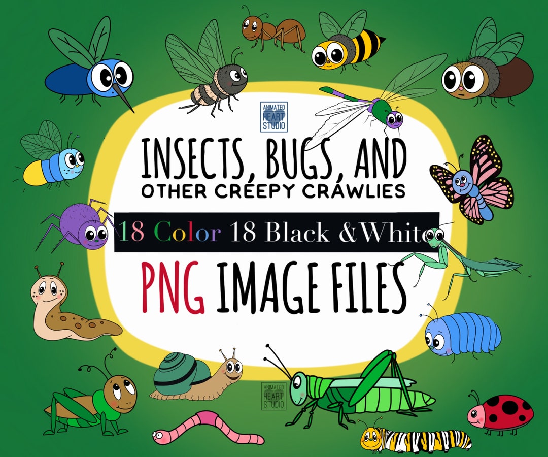 Cute Bug PNG, Insect PNG, Bug Png, Cute Bugs, Bug Clip Art, Insect Clip ...