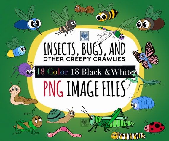 Cute Bug PNG Insect PNG Bug Png Cute Bugs Bug Clip Art | Etsy