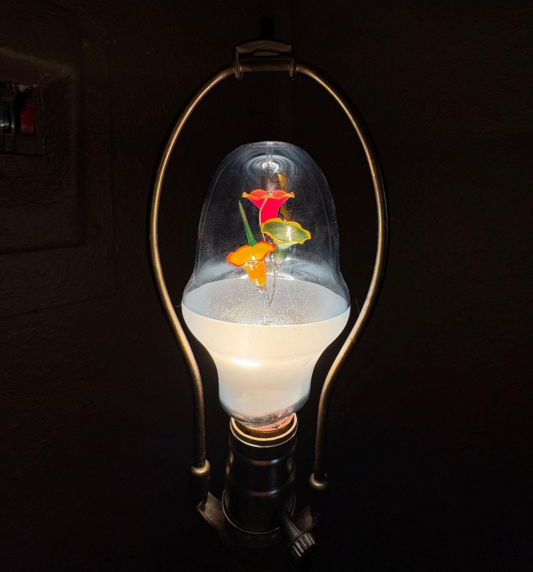 Antique Multi-color Japanese Kokka Hana Denkyu Flower Light Bulb ...