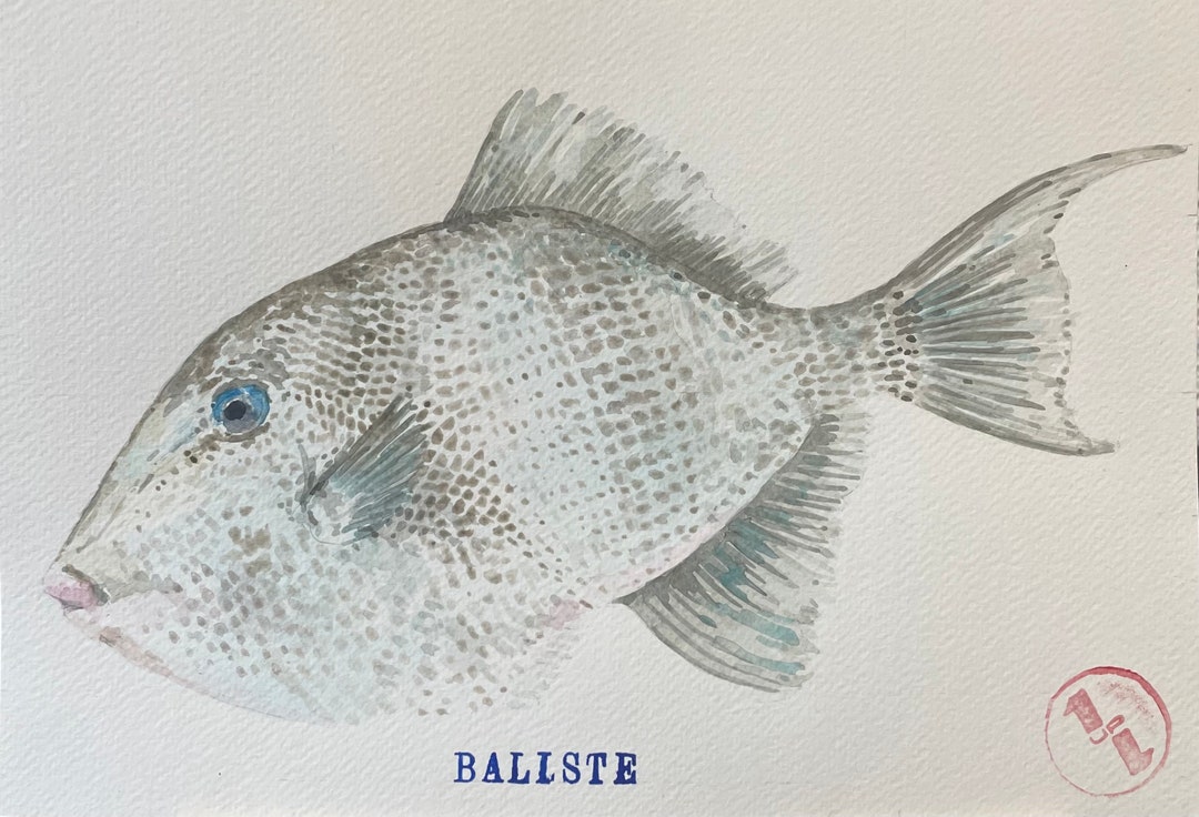 Handmade Watercolor Poster Digital Printing on A4 Paper, Triggerfish - Etsy