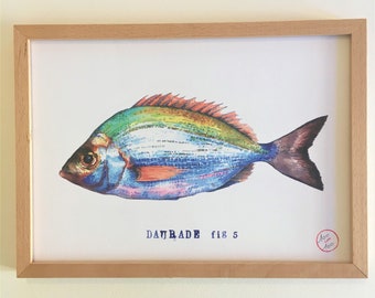 Sea Bream - Etsy