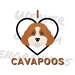 I Love Cavapoos SVG PNG PDF, Cavapoo Dog Art, Dog Owner Clipart, Dog ...