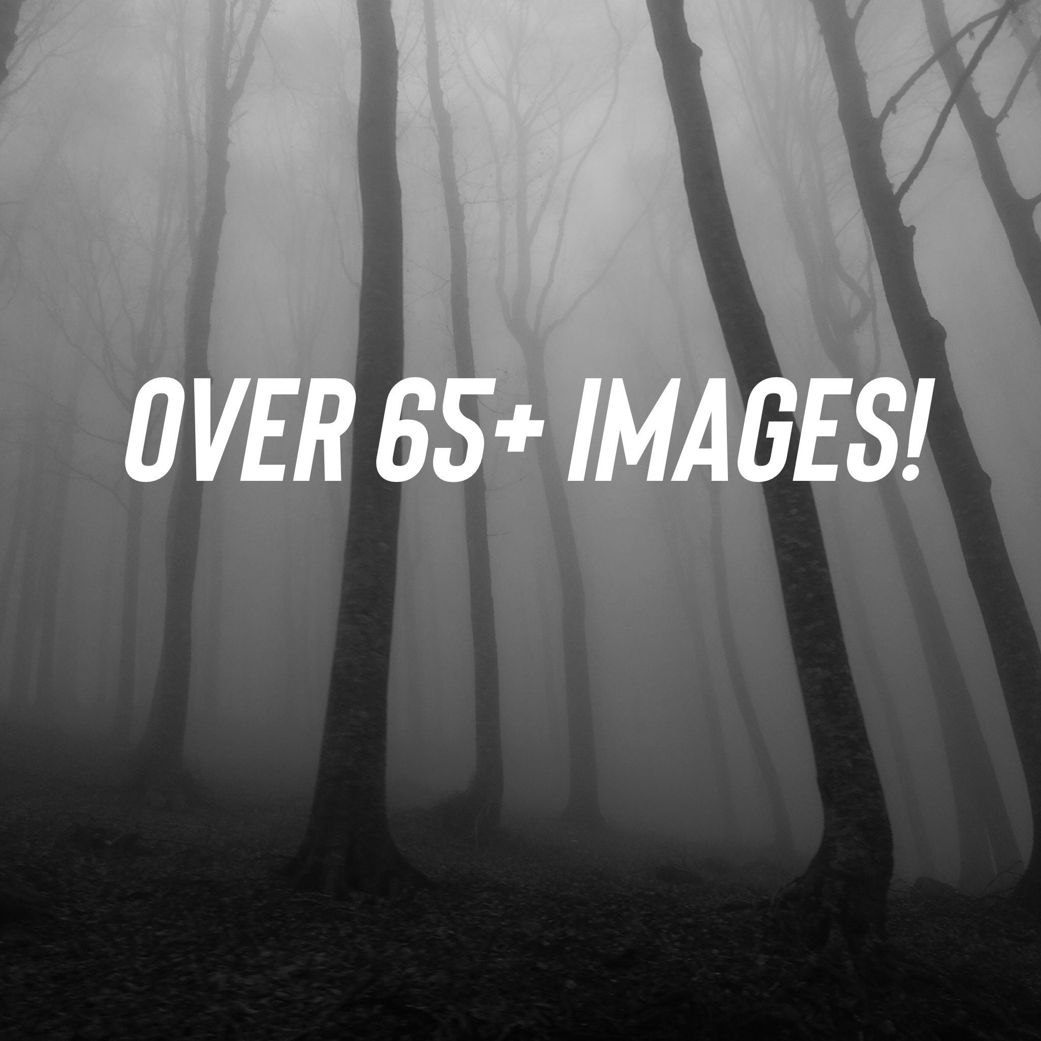 65 SCARY IMAGES Dark Horror Haunted Pictures Halloween - Etsy Canada