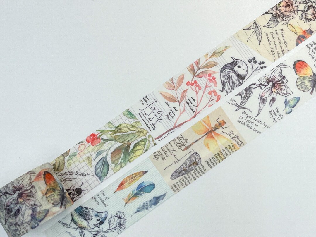 Washi Tape SAMPLE Eksman Specimen Note - Etsy