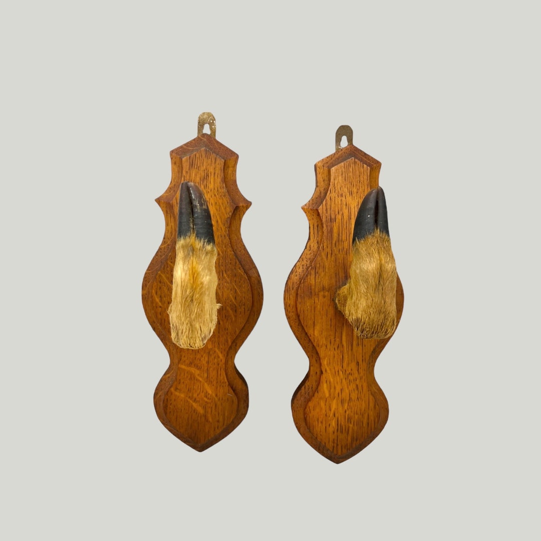 Taxidermy Deer Hooves, Taxidermy Gun Rack, Deer Hoof Hunting Decoration ...