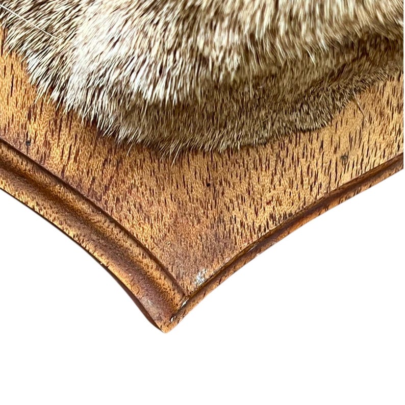 Vintage Taxidermy Roe Deer Head – Mounted - for RESTORATION - Etsy UK