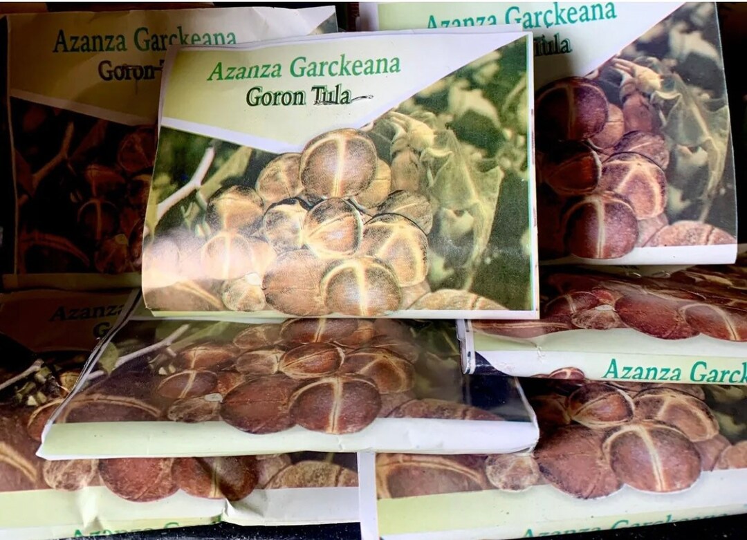 3x Gorontula Powder / Silky Kola 10g 3 Packets - Etsy