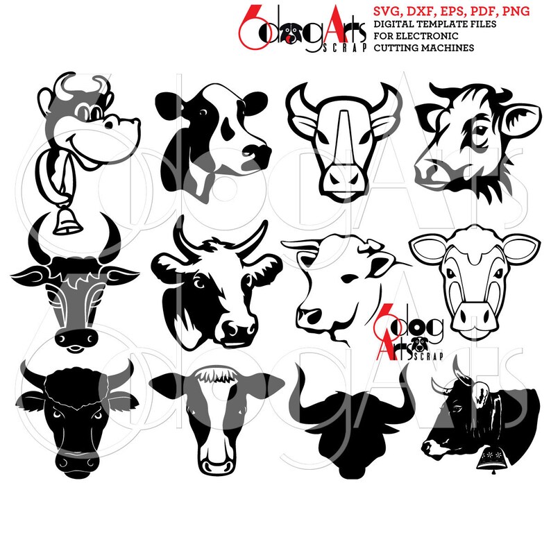 Cow, Bull Head Digital Files Svg Dxf Eps Png Silhouette SCAL Cricut ...