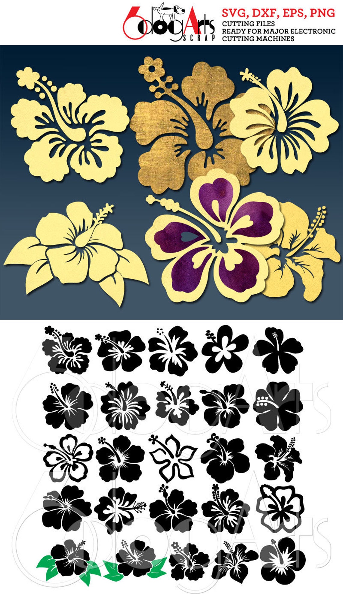 25 Hibiscus Designs Vector Digital Vector Files Svg Dxf Eps | Etsy